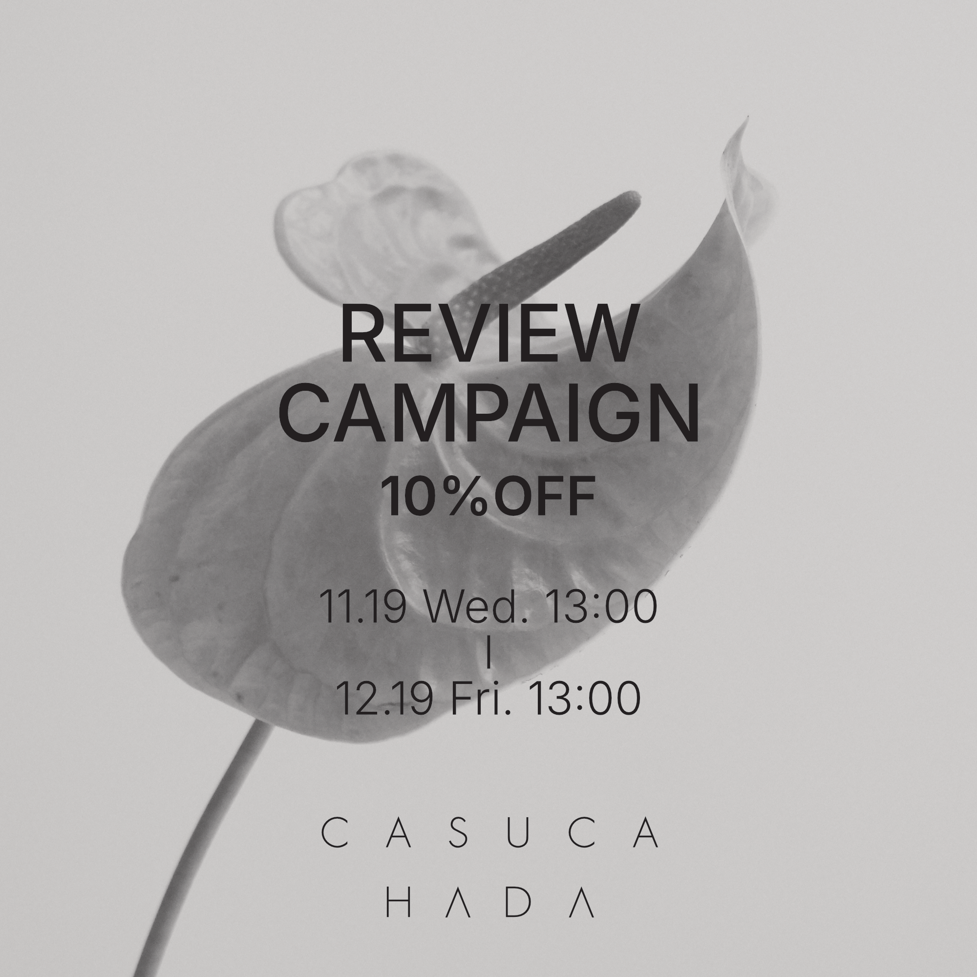 REVIEW CAMPAIGN – CASUCA HADA